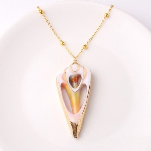 Jewelry | Gold Enhanced Boho Conch Shell Slice Necklace | Poshmark